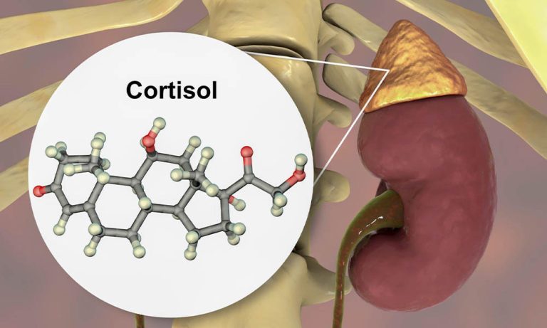 5 Supplements to Reduce Cortisol and Shrink Belly Fat | Diet Health ...